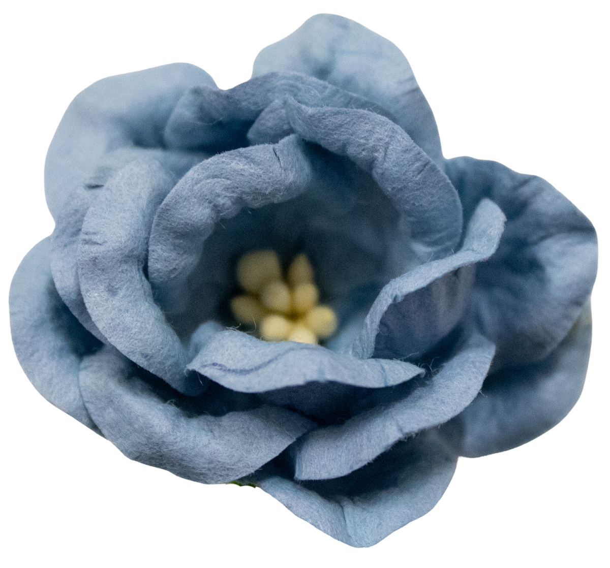 5 Crazy Ladies Flower Packs - Peony 5 pk | Paper Flourish