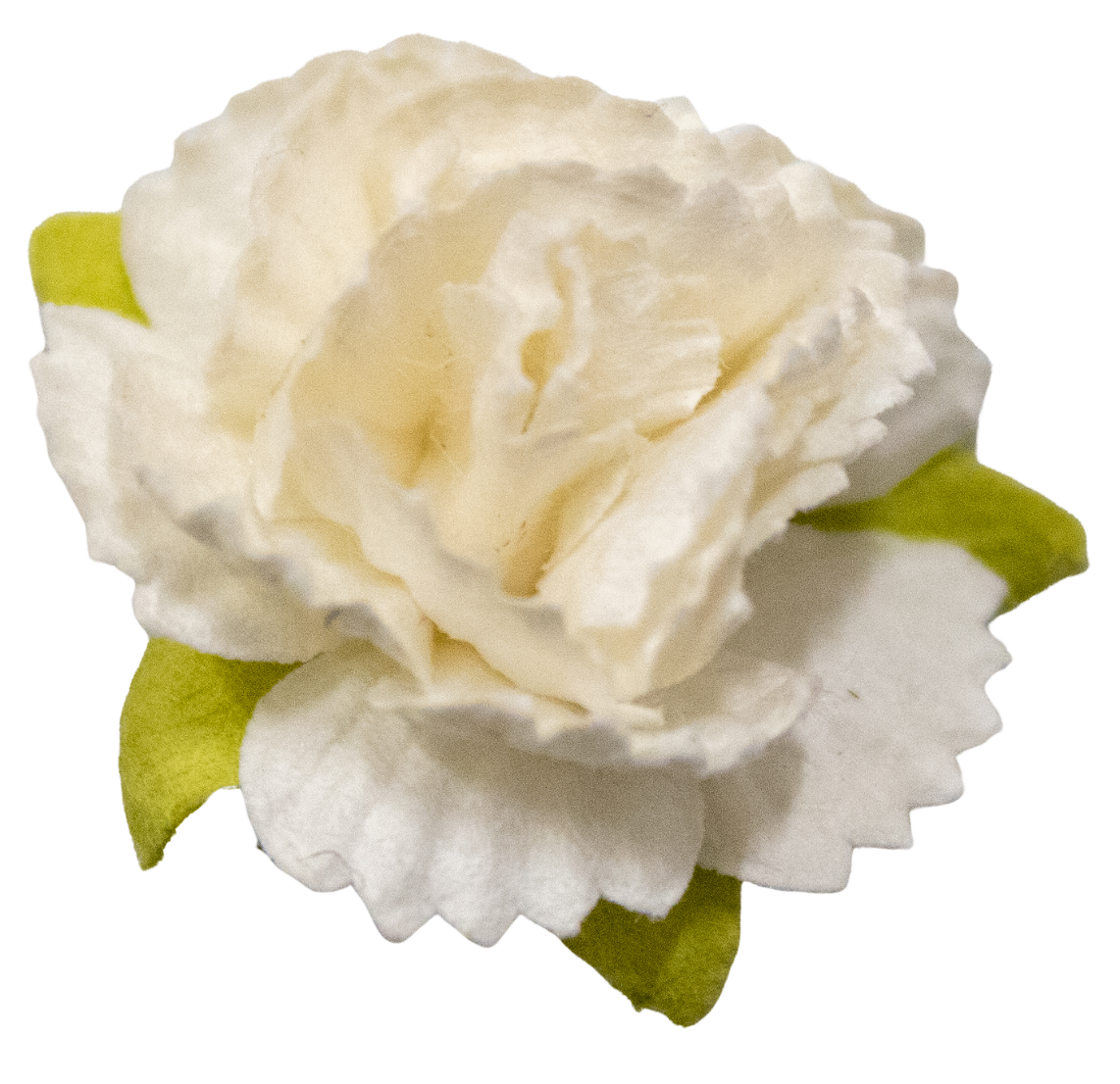 5 Crazy Ladies Flower Packs - Carnations 10 Pack | Paper Flourish