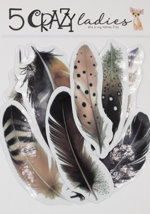 5 Crazy Ladies Journal Stickers - Feathers | Paper Flourish