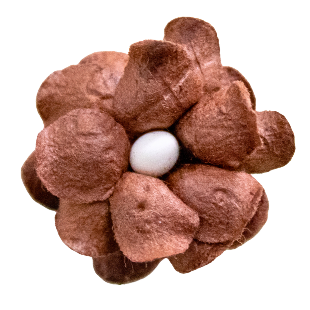 5 Crazy Ladies Flower Packs - Fluffy Blossom Small 5pk | Paper Flourish